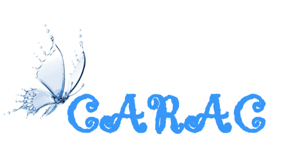 Grand Theft Auto – Carac